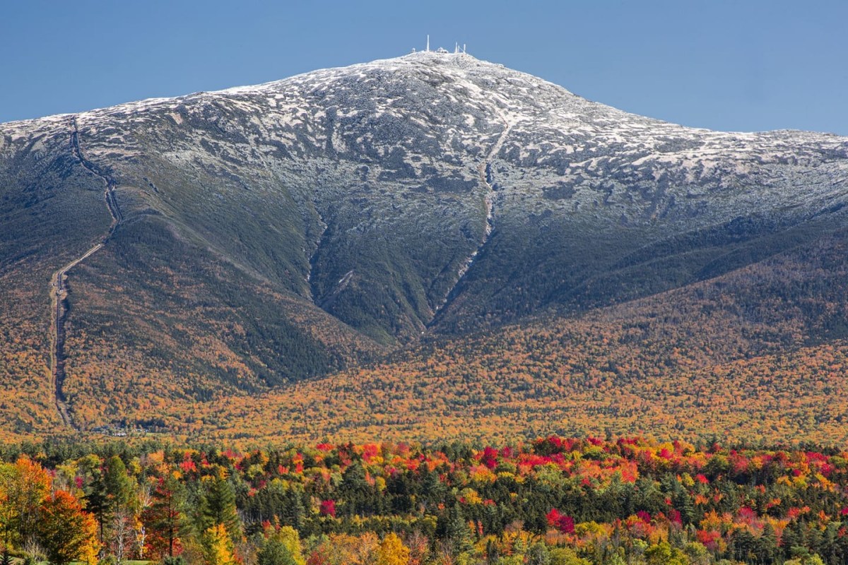 Seasons | chroniclesofmccloskey