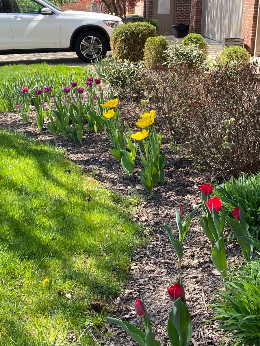 My Dad Would Be Proud | chroniclesofmccloskey